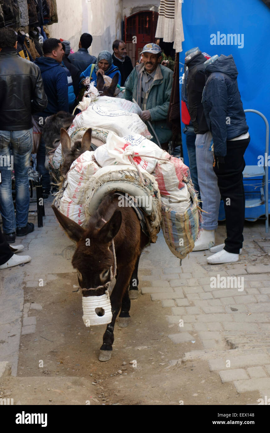 Loaded donkey in the narrow street in Medina, Fez, Morocco Stock Photo ...