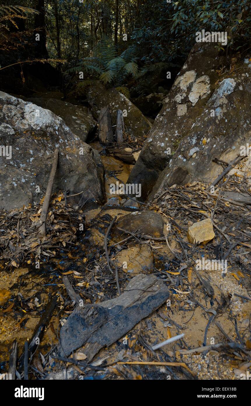 Stream of water flowing in the middle of a canyon of boulders Stock ...