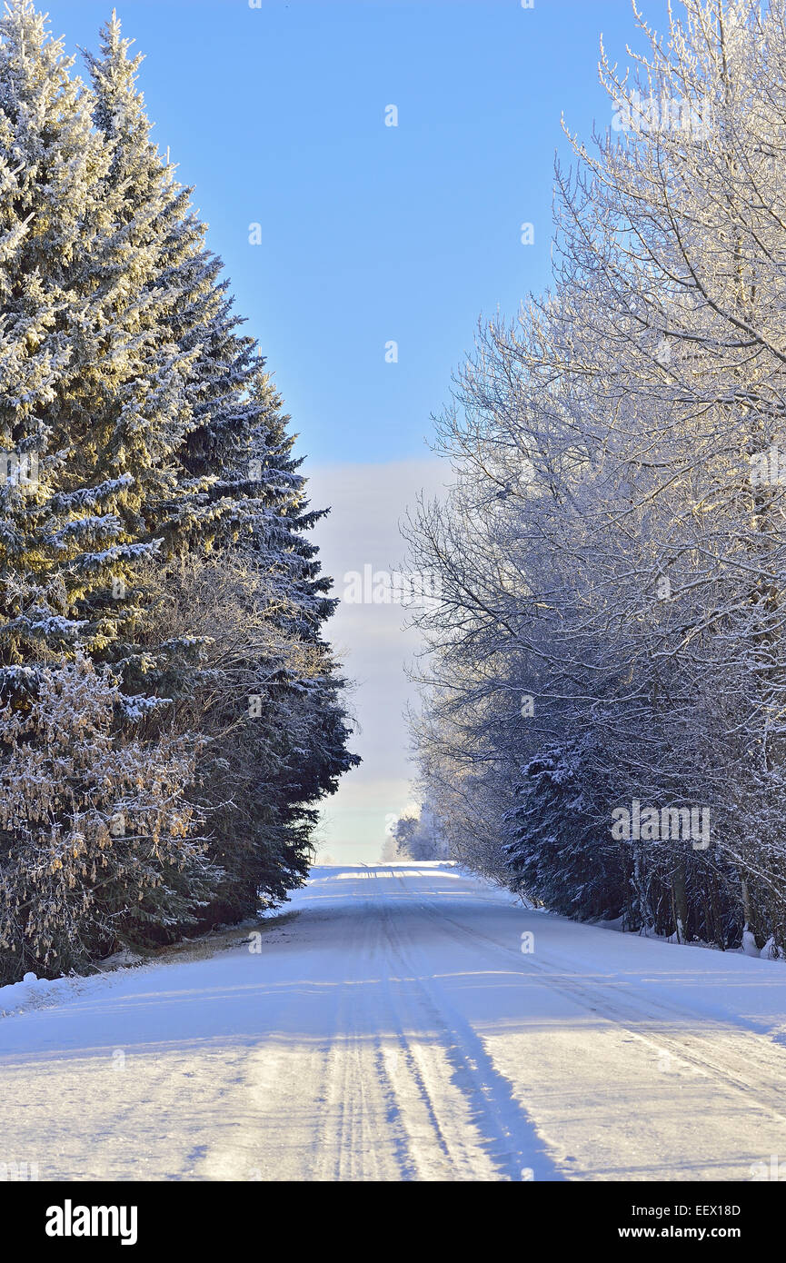 Two vertical straight lines hi-res stock photography and images - Alamy