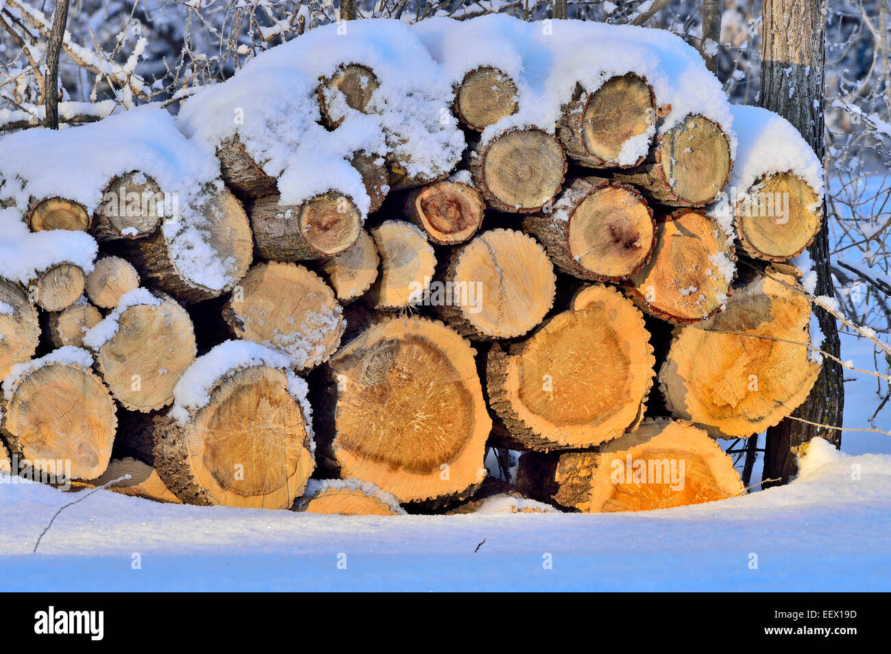 Fire wood hi-res stock photography and images - Alamy