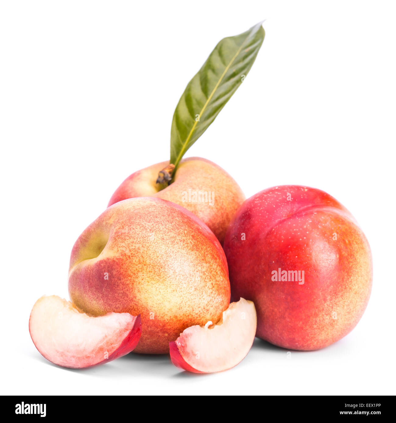 Climate group Cut Out Stock Images & Pictures - Alamy