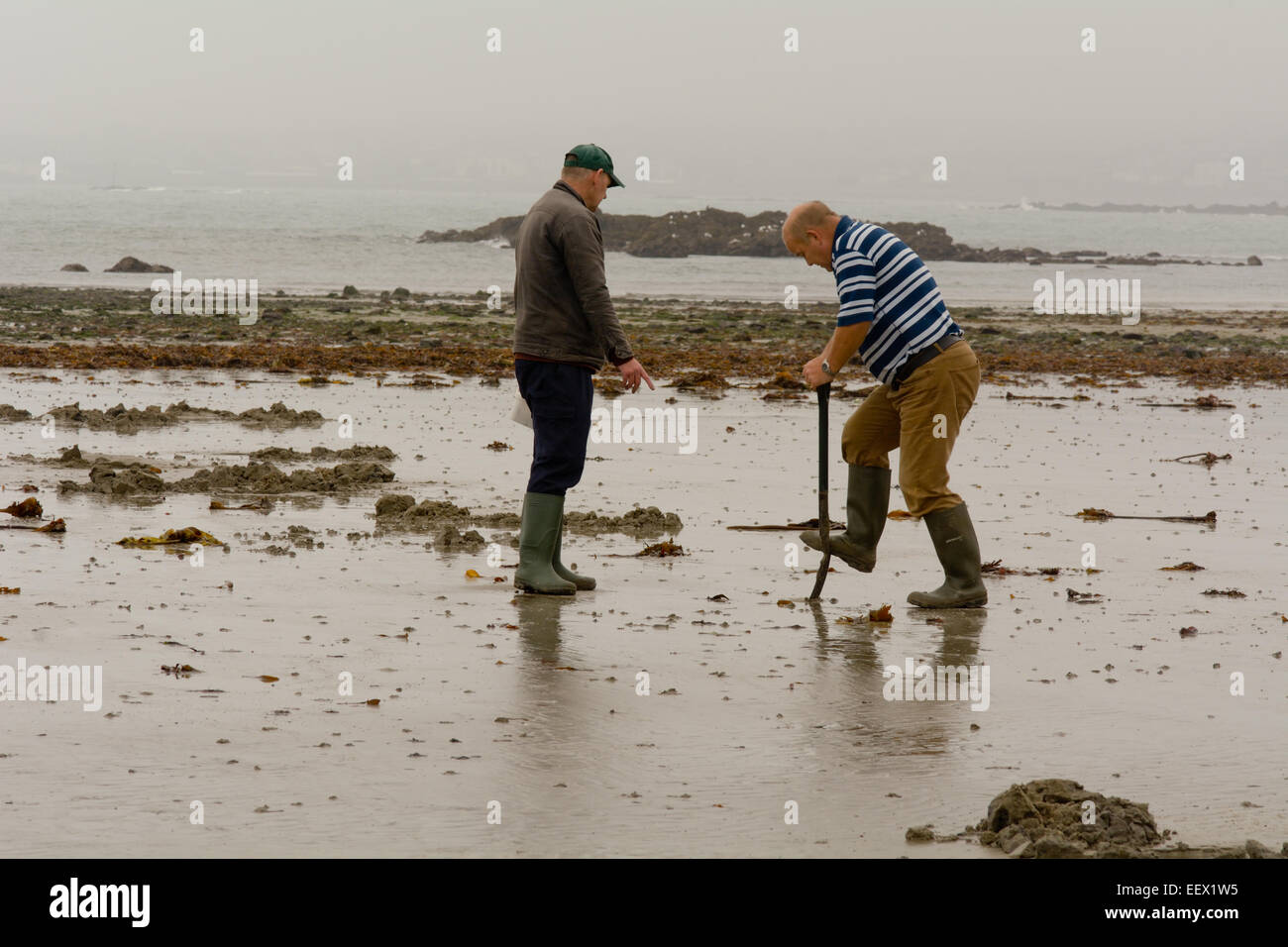 Men digging hi-res stock photography and images - Alamy