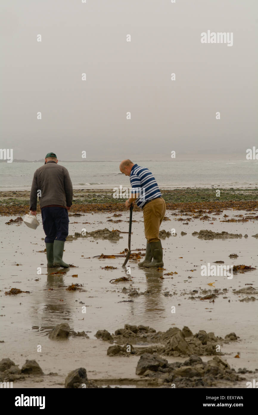 Bucket of clams on beach hi-res stock photography and images - Alamy