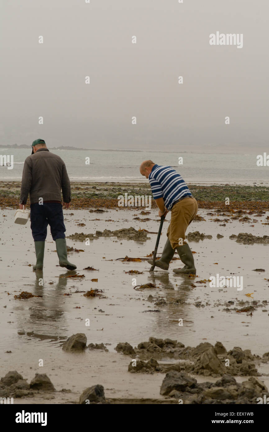 Cockles bucket hi-res stock photography and images - Alamy
