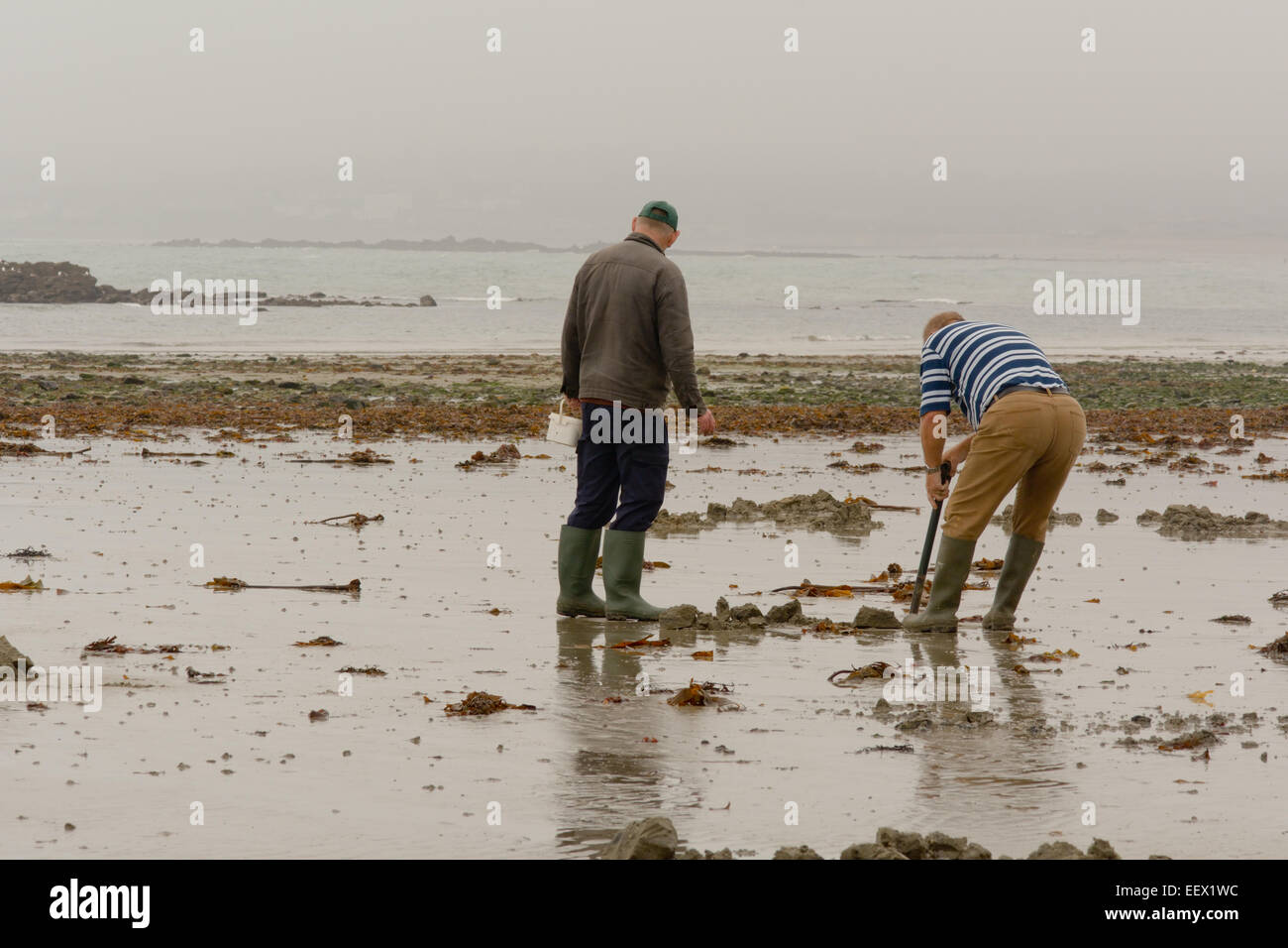 Men digging hi-res stock photography and images - Alamy
