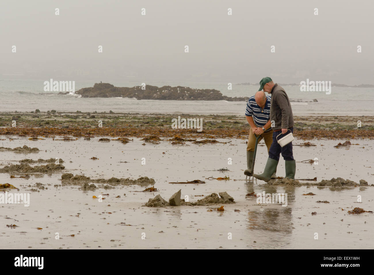 Men digging hi-res stock photography and images - Alamy