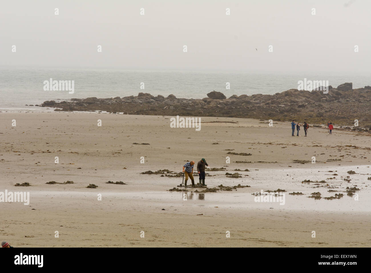 Digging for cockles hi-res stock photography and images - Alamy