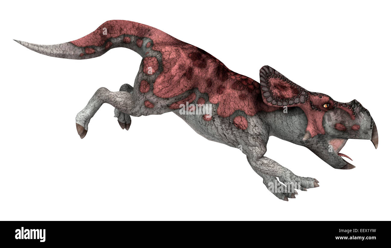 3D digital render of a dinosaur protoceratops isolated on white ...