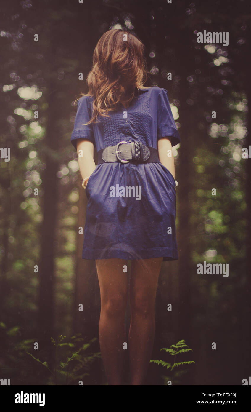 Fable forest hi-res stock photography and images - Alamy