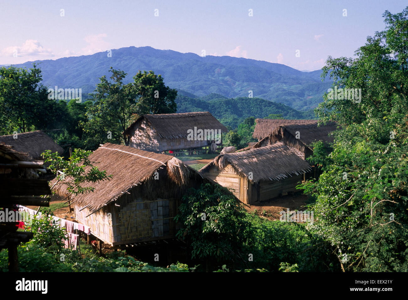 Lahu village thailand hi-res stock photography and images - Alamy