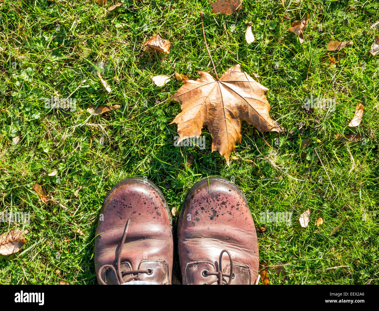 Shoes on grass Stock Photo - Alamy