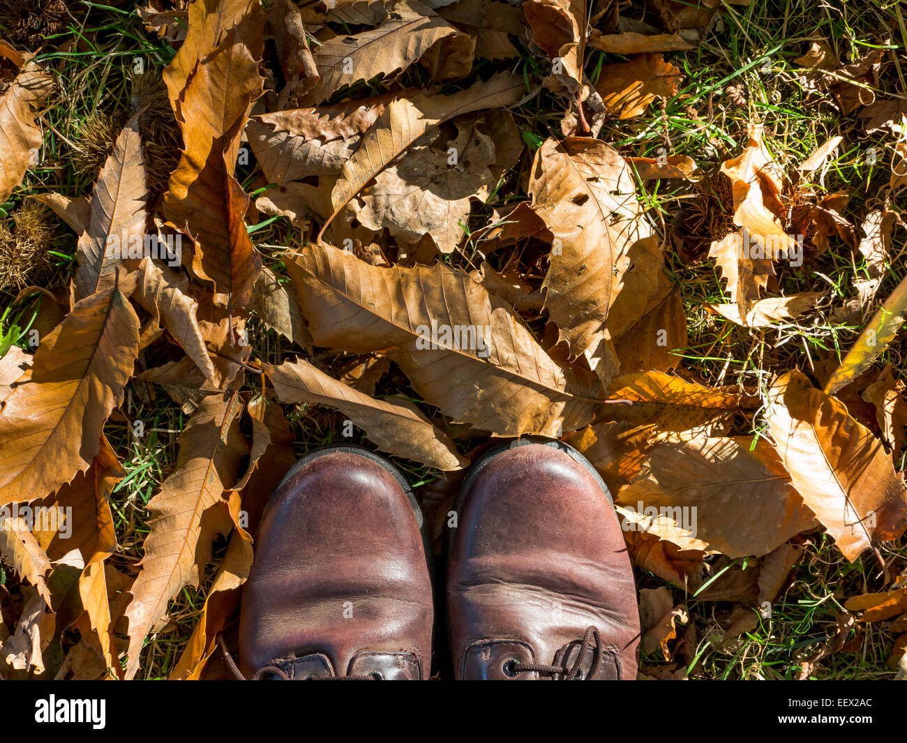 Dusty feet hi-res stock photography and images - Alamy