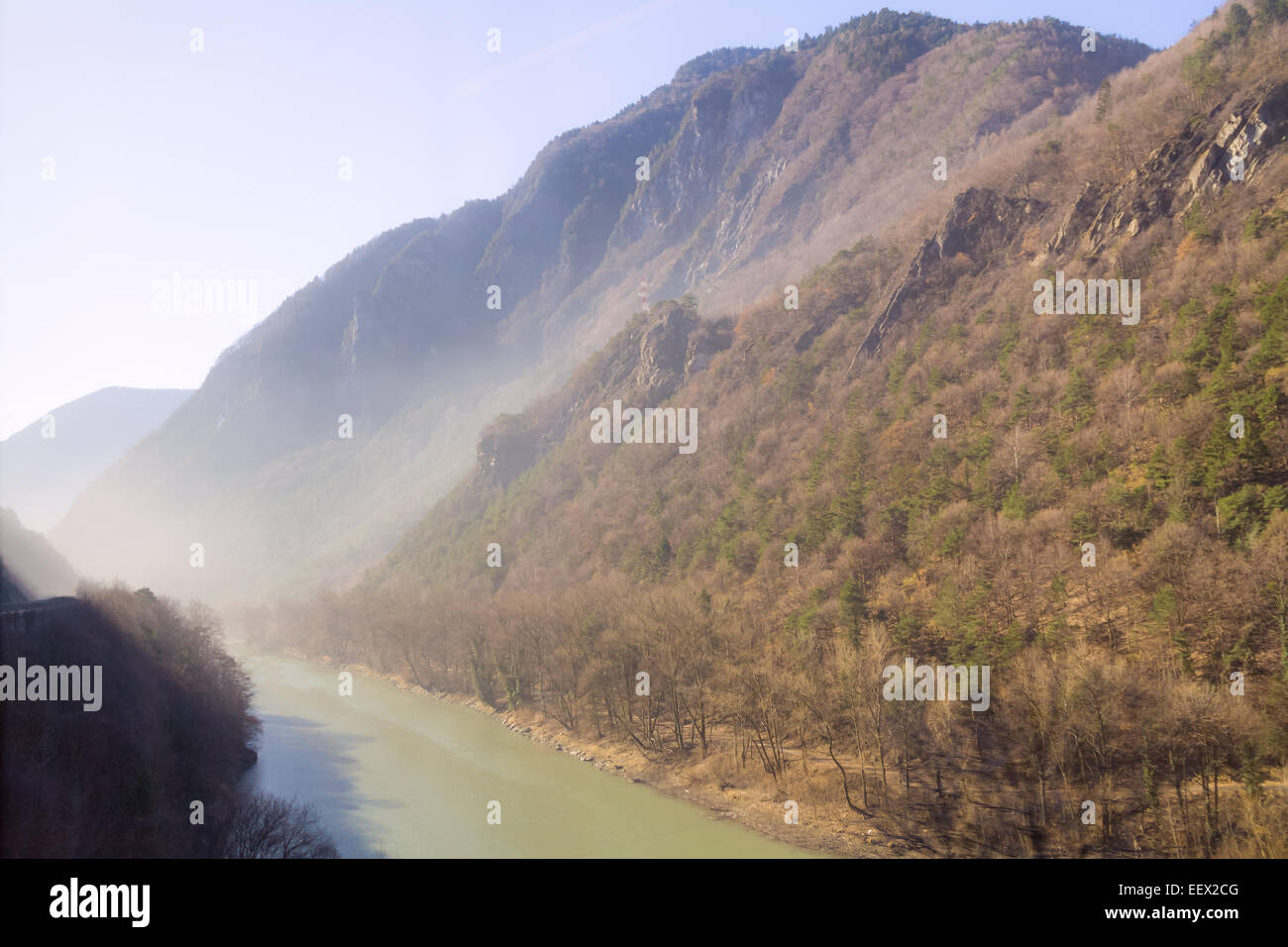 New forest foggy landscape hi-res stock photography and images - Alamy