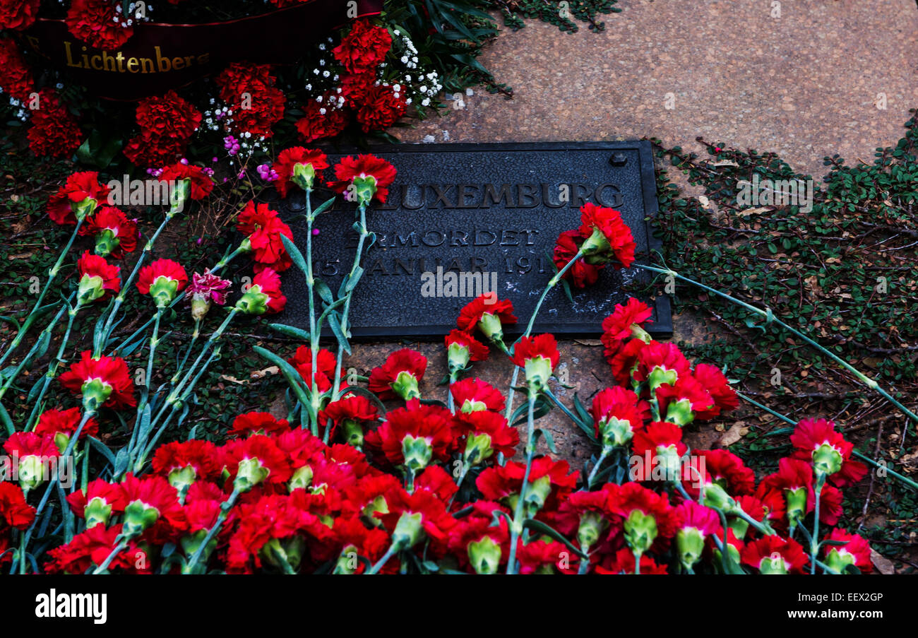 Red carnations on the grave of Rosa Luxemburgin Berlin, 11 January 2015 ...