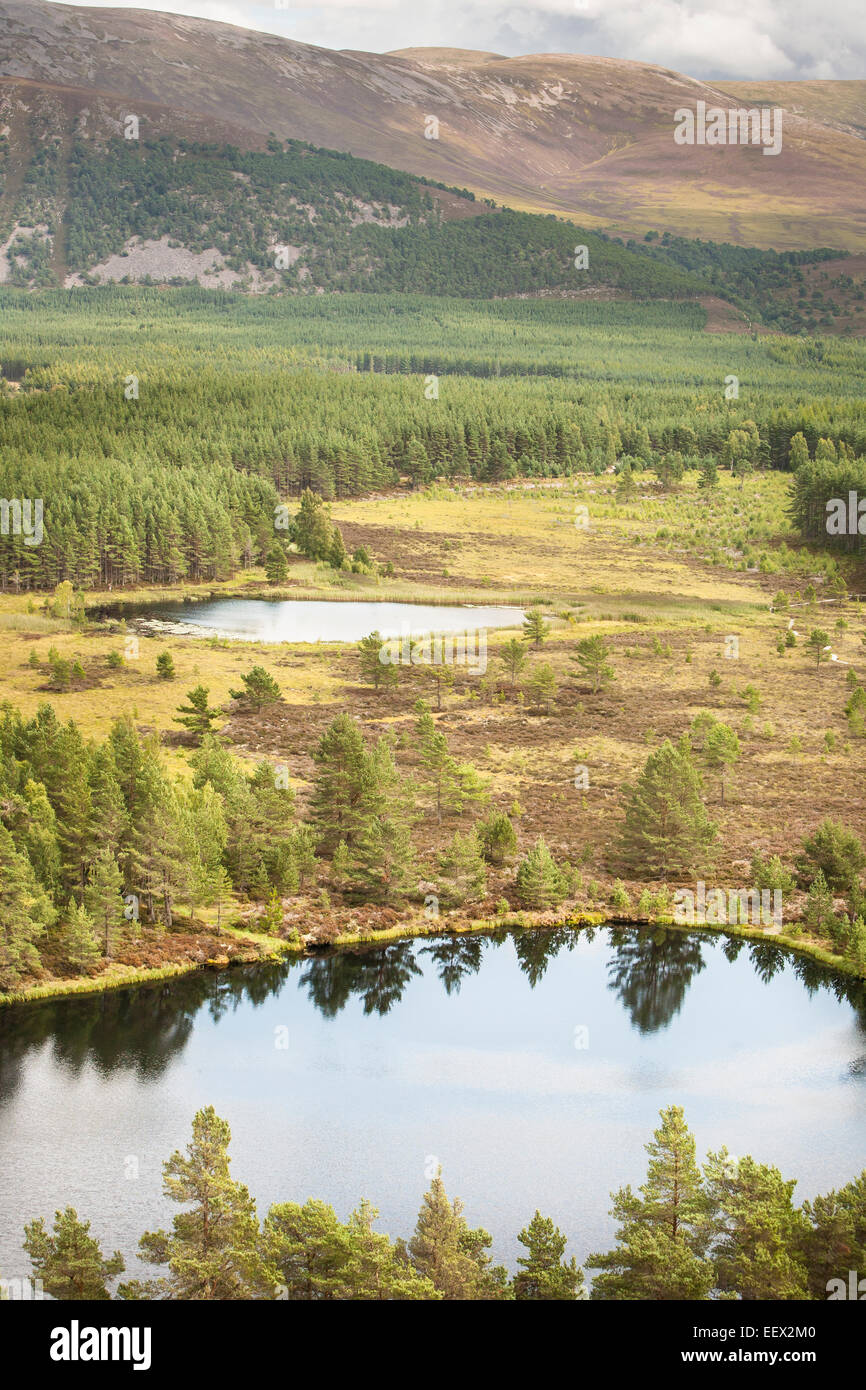 Uath Lochans at Glen Feshie in the Cairngorms National Park of Scotland ...