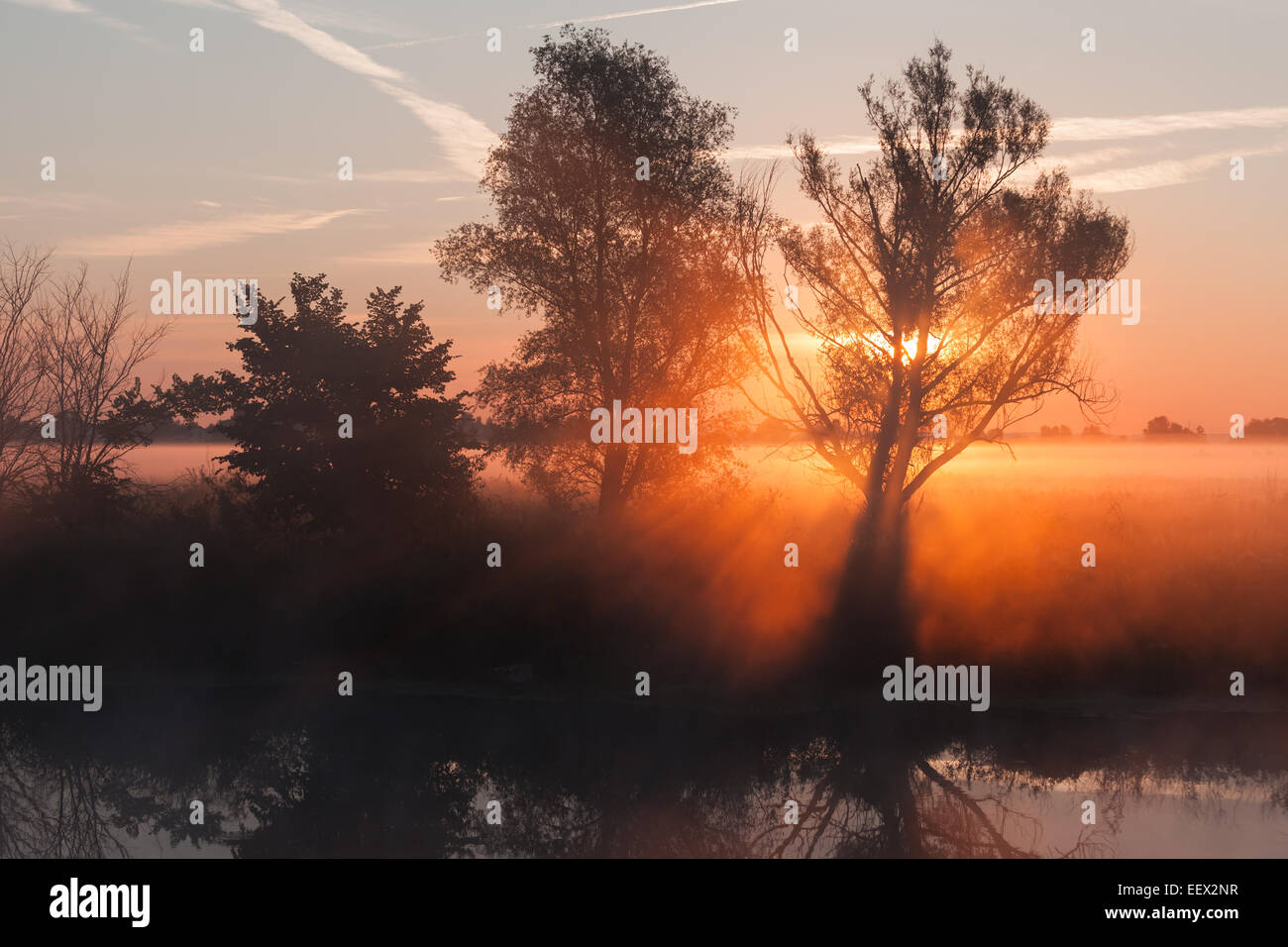 Sunlight filtered through mist hi-res stock photography and images - Alamy