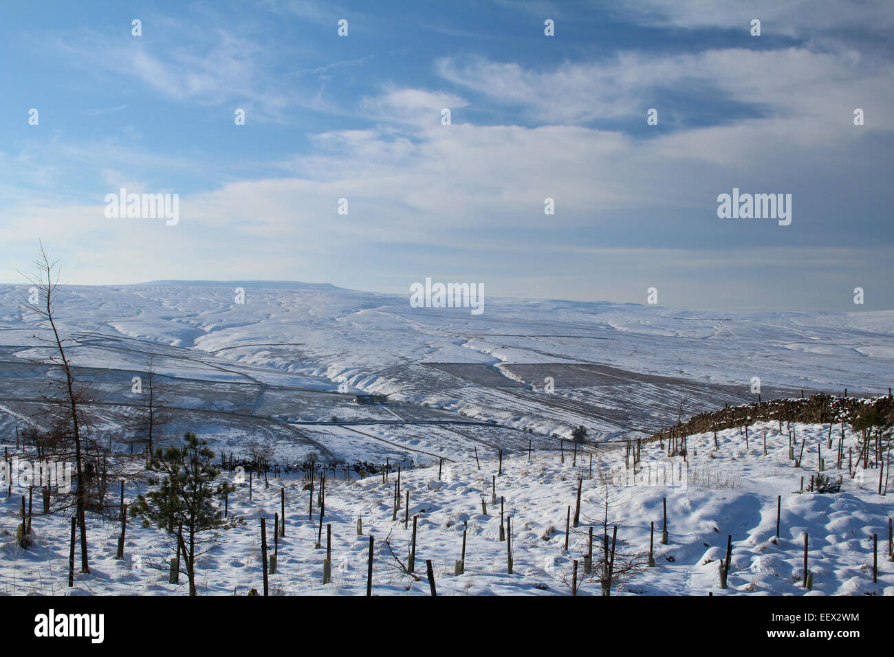 View across the South Tyne Valley to Cross Fell Stock Photo - Alamy
