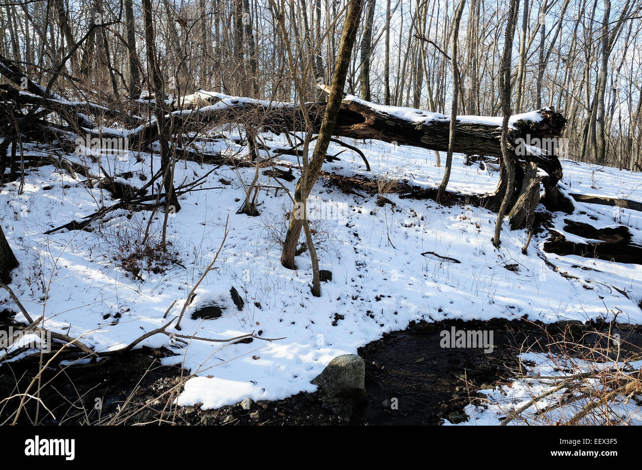 Stream flow in winter hi-res stock photography and images - Alamy