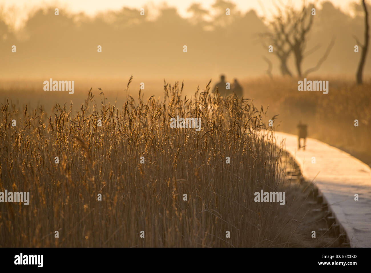 Couples romantic hi-res stock photography and images - Alamy