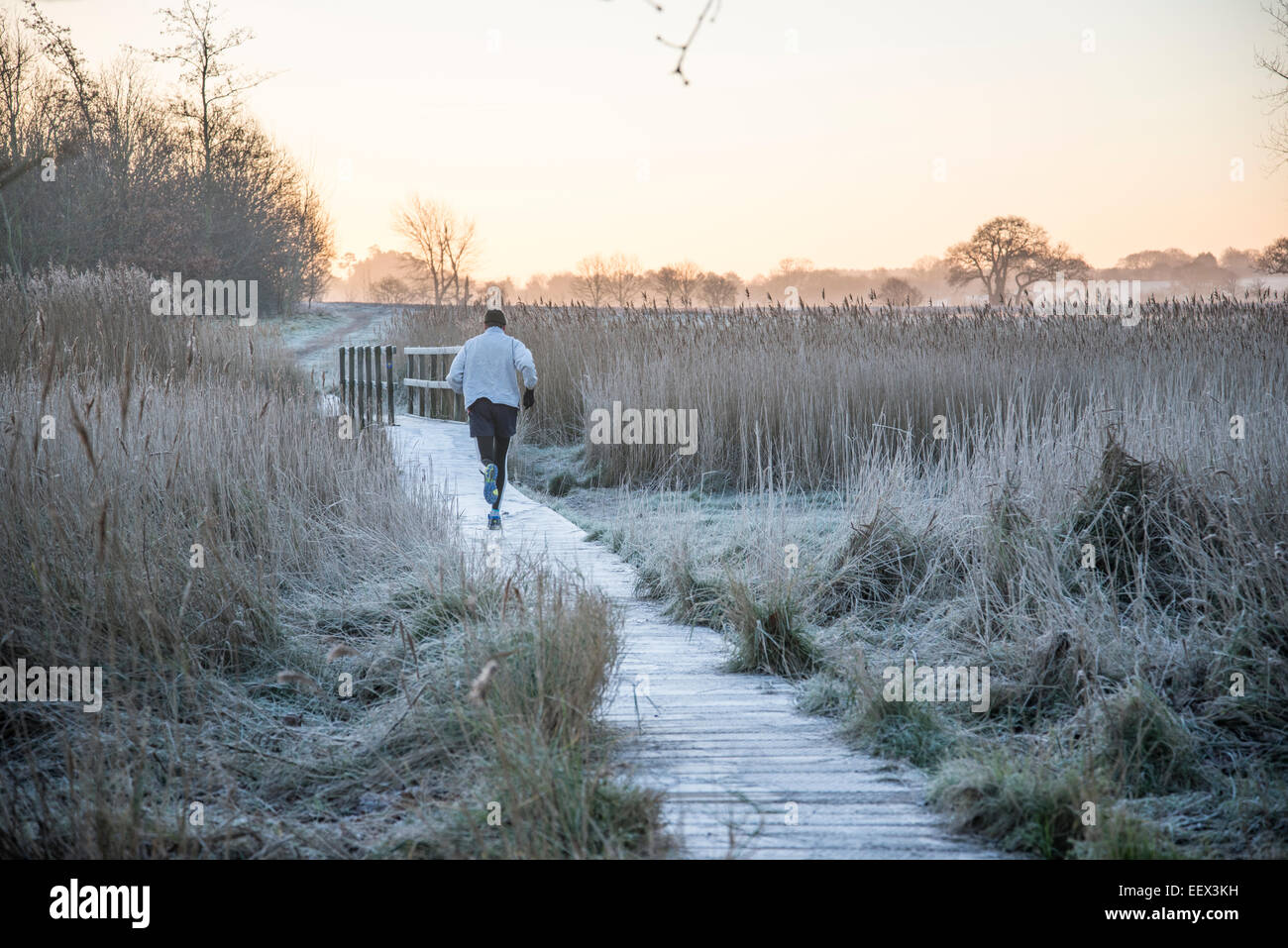 Man running on a very cold morning Stock Photo - Alamy