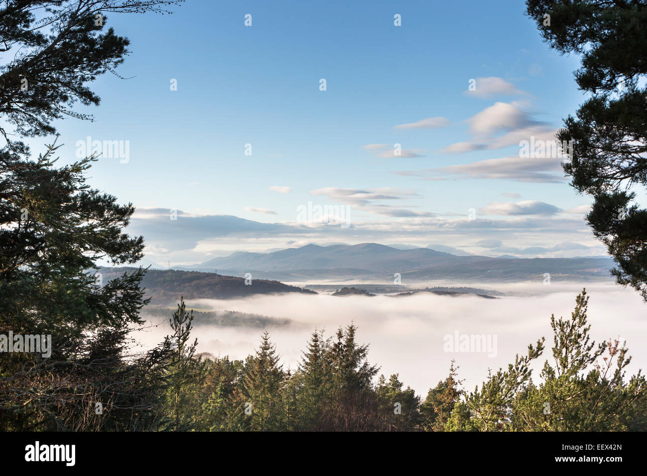 Mist on Beauly Firth in the Highlands of Scotland Stock Photo - Alamy