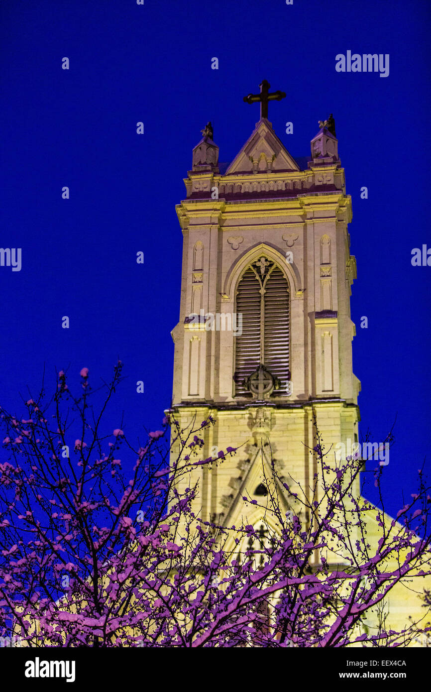 St Raphael's Cathedral highlighted in blue Stock Photo - Alamy