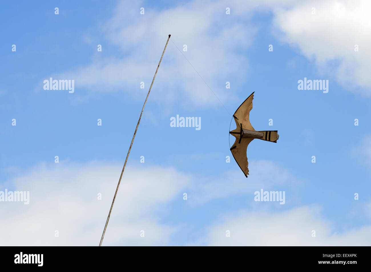 Bird scarer hi-res stock photography and images - Alamy