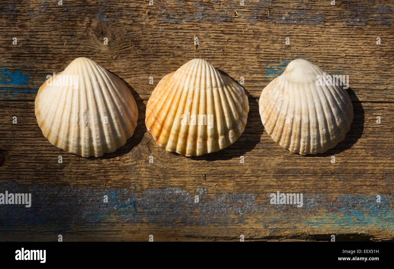 Three items hi-res stock photography and images - Alamy