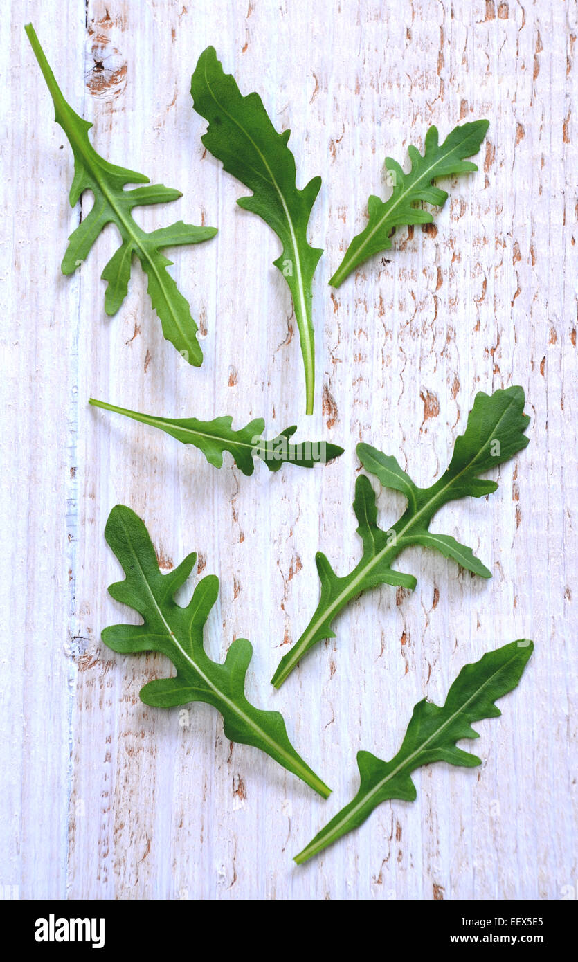 Fresh arugula / salad rocket / roquette / rucola leaves Stock Photo - Alamy