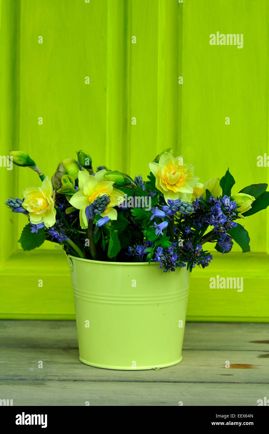 Yellow Flowers In Bucket High Resolution Stock Photography and Images ...