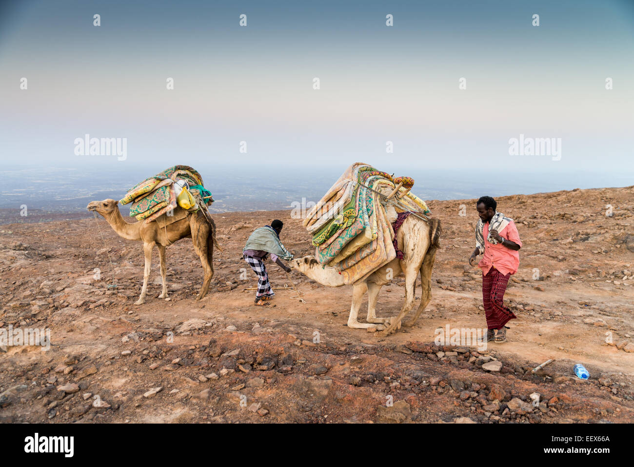 Afar ethiopia nomad hi-res stock photography and images - Alamy
