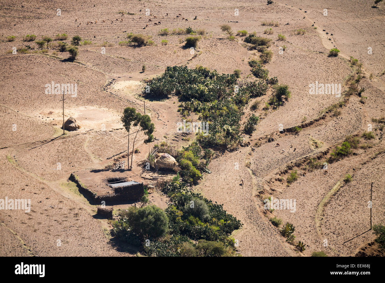 Agriculture showing farmland with fields and primitive huts, Ethiopia ...