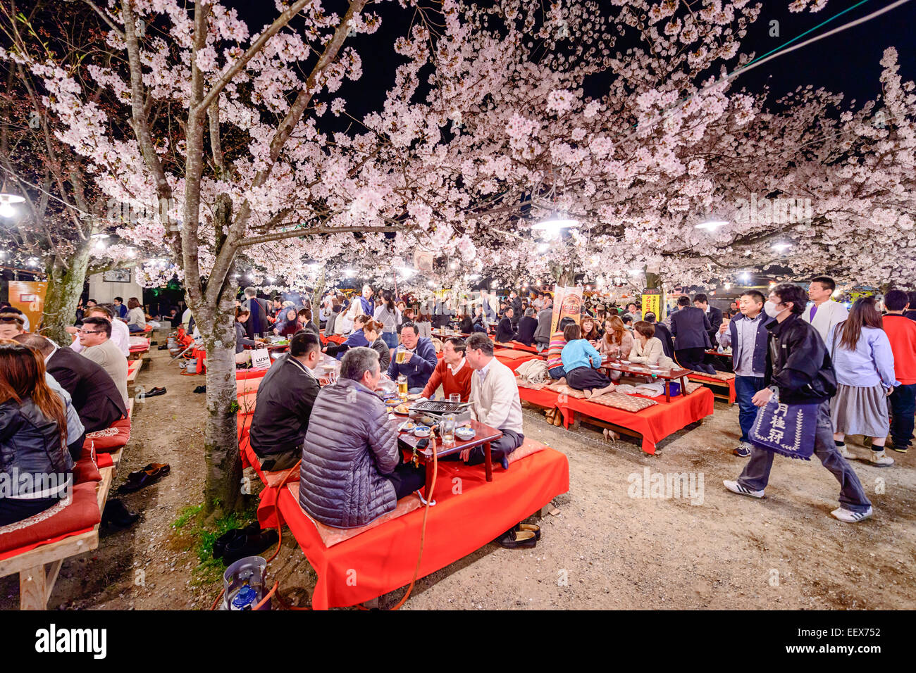 Hanami festivals in maruyama park hi-res stock photography and images ...