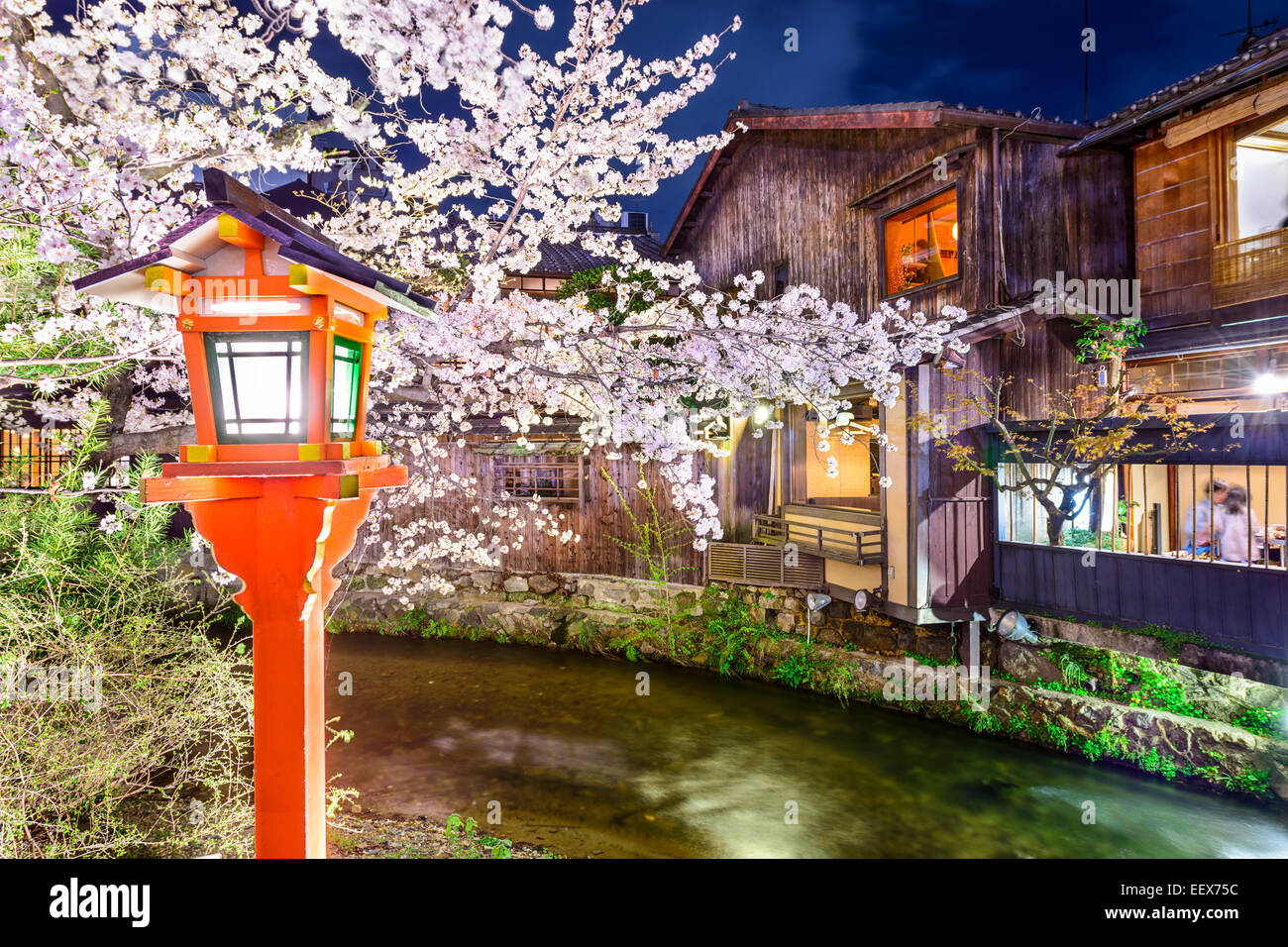 Kyoto, Japan at the Shirakawa River in the Gion District during the ...