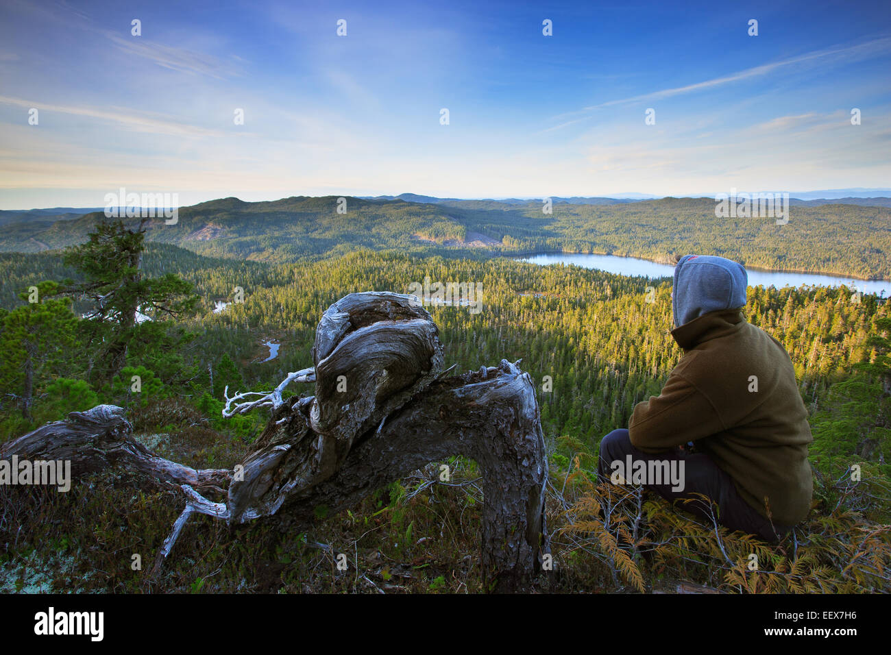 Hiker sitting enjoying the view in the wilderness Stock Photo - Alamy