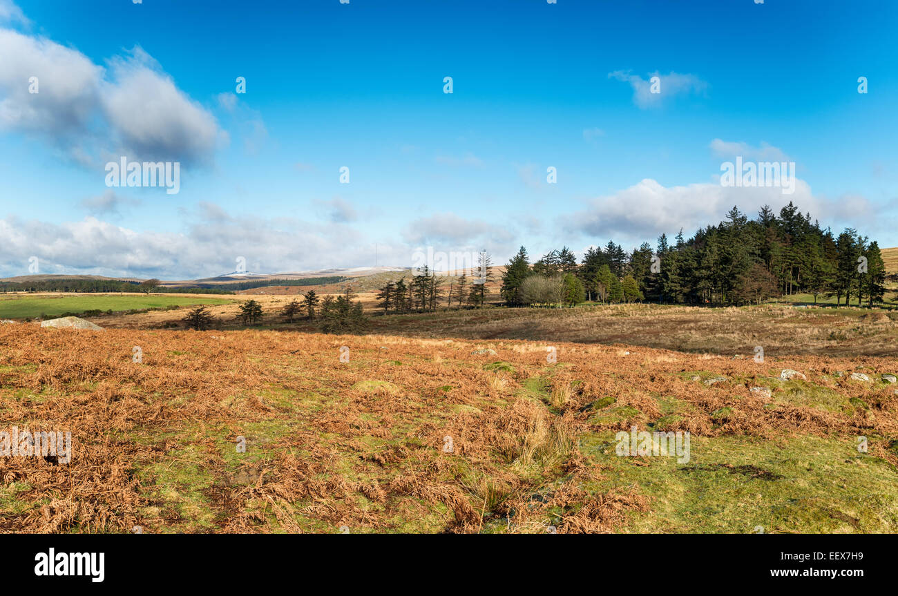 Dartmoor moorland hi-res stock photography and images - Alamy