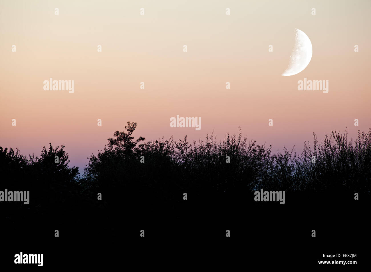 Half moon at dusk hi-res stock photography and images - Alamy