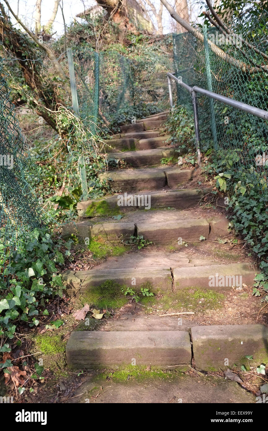 Steep steps on path down from Stapleton to Snuff Mills, in Bristol ...