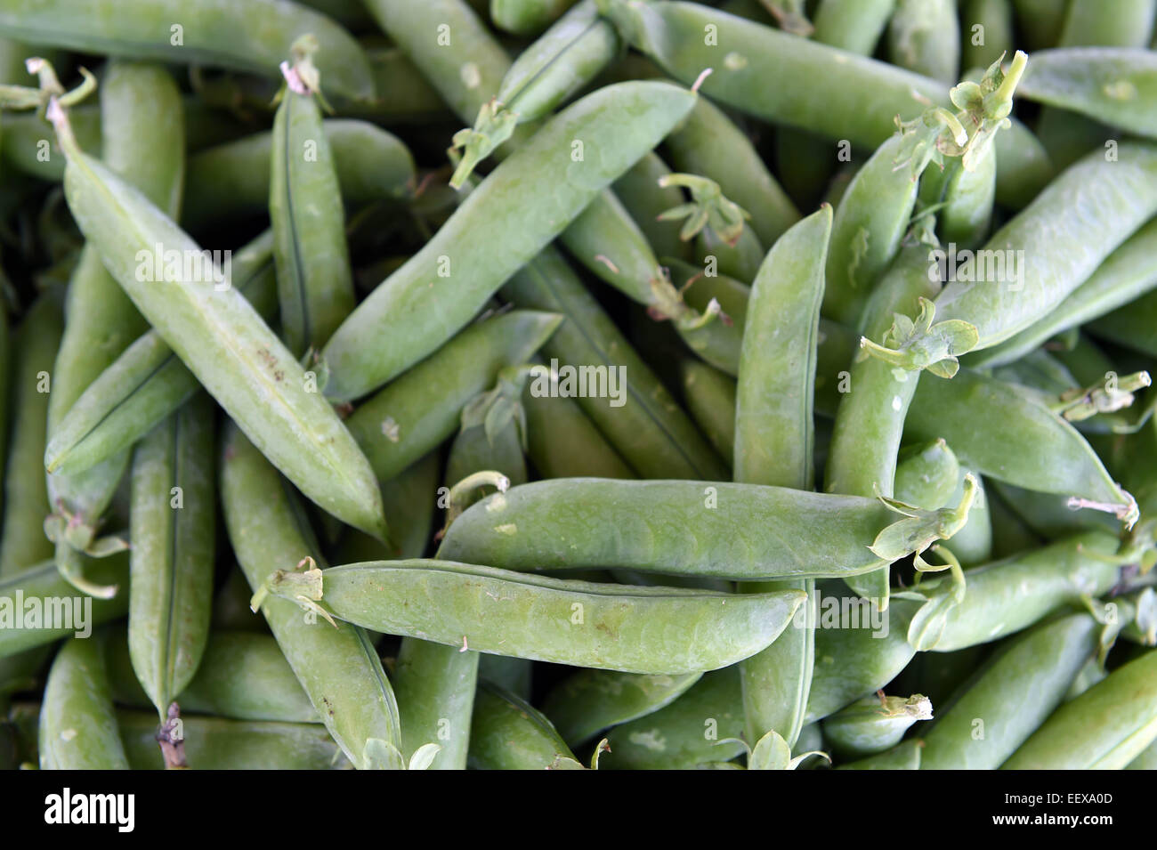 Concept vegatables peas hi-res stock photography and images - Alamy