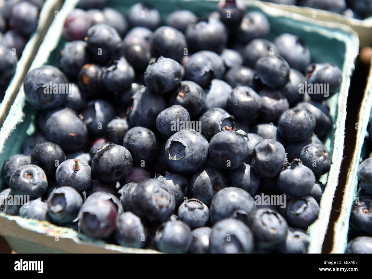 Blueberries and Farm fresh produce at a farmer's market in CT USA Stock ...