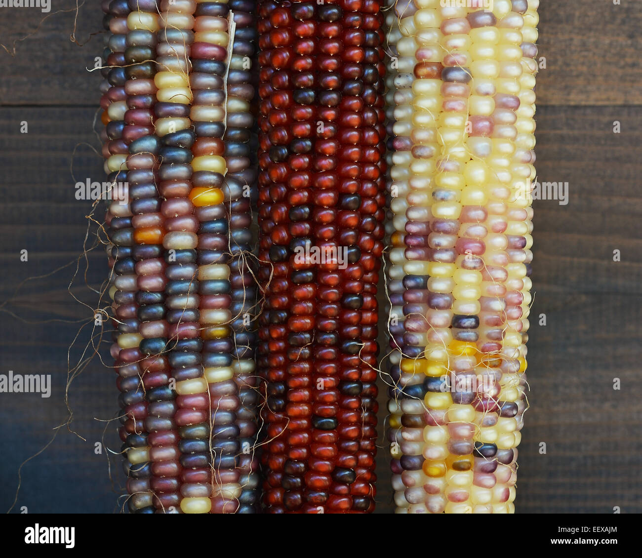 Flint maize hi-res stock photography and images - Alamy