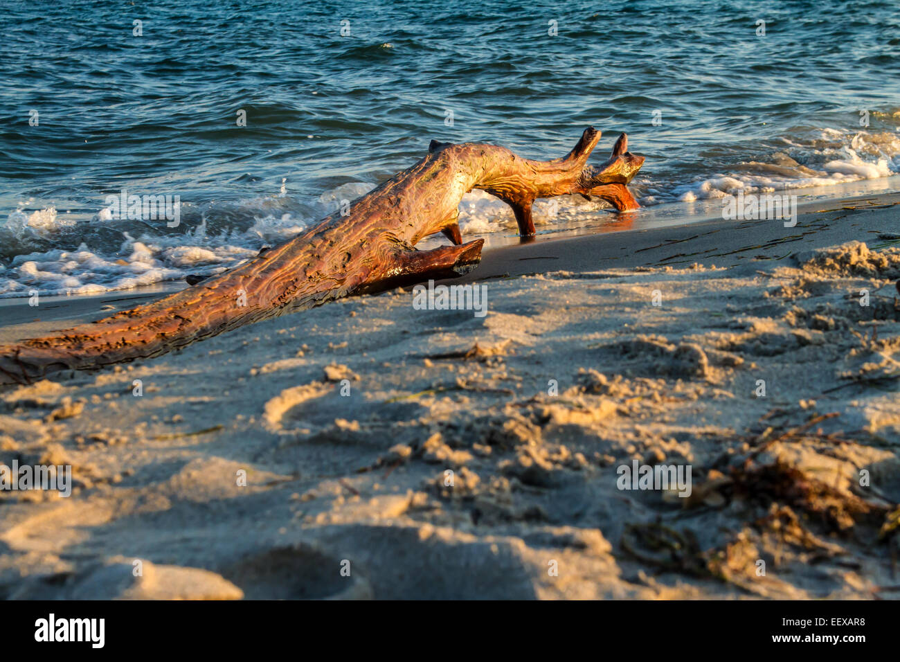 Log by sunset hi-res stock photography and images - Alamy