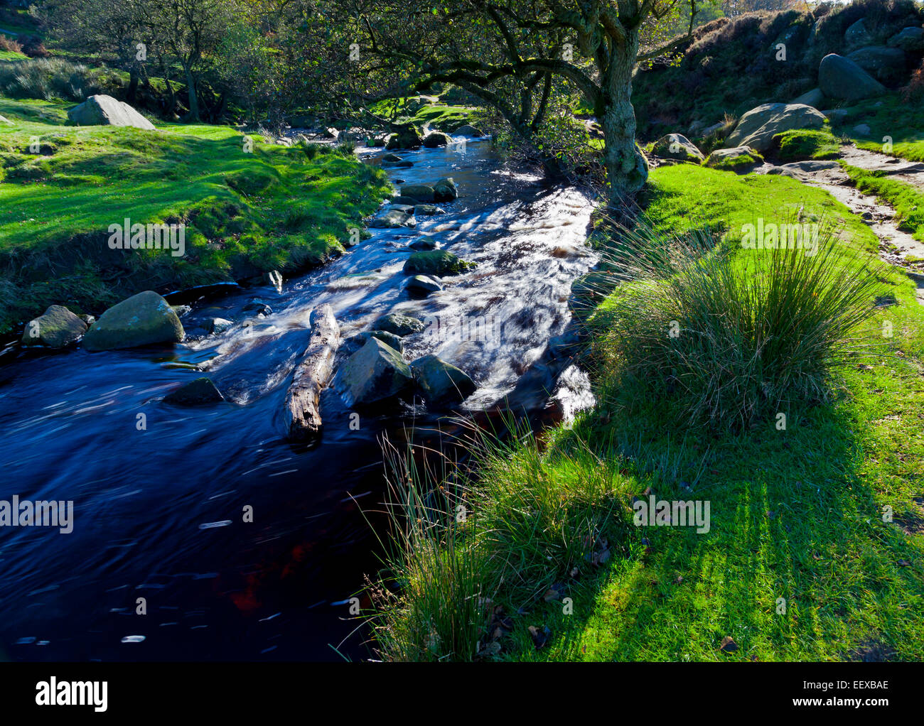 Longshaw Estate Derbyshire Peak High Resolution Stock Photography and ...