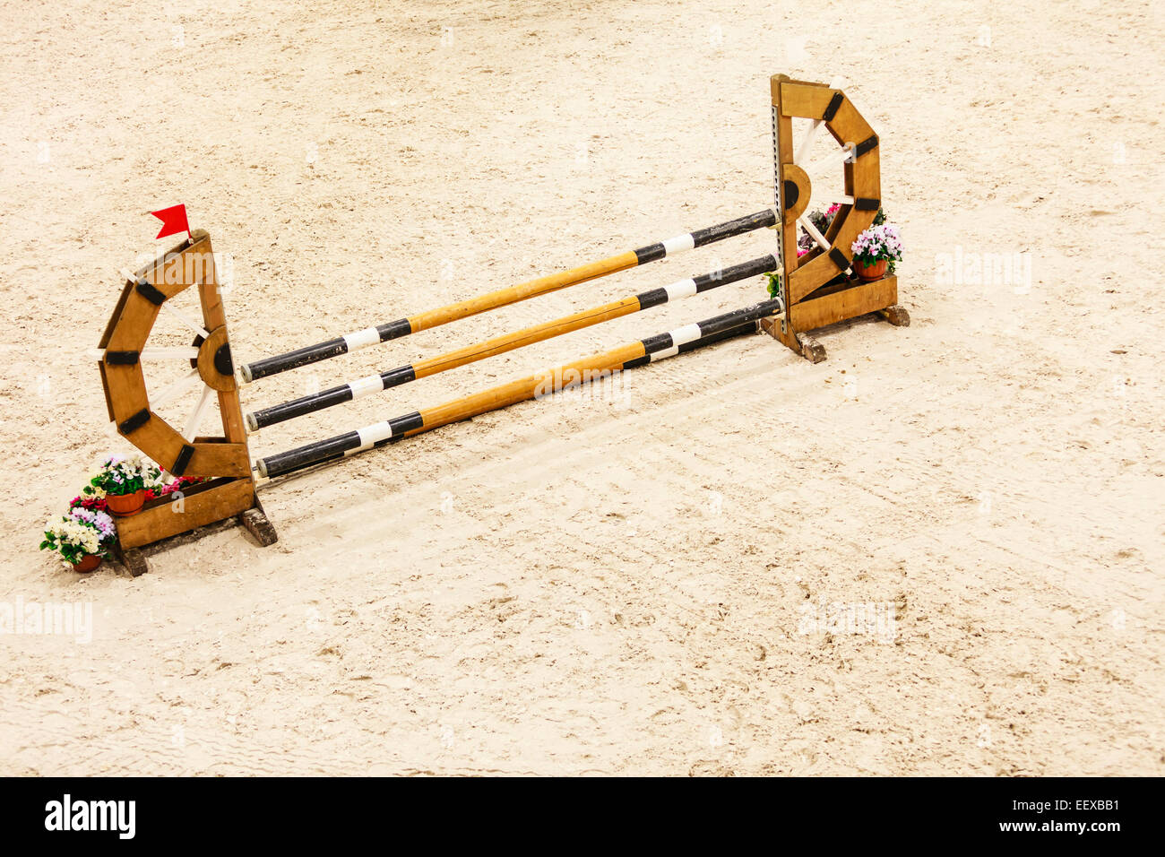 Equitation competition hi-res stock photography and images - Alamy