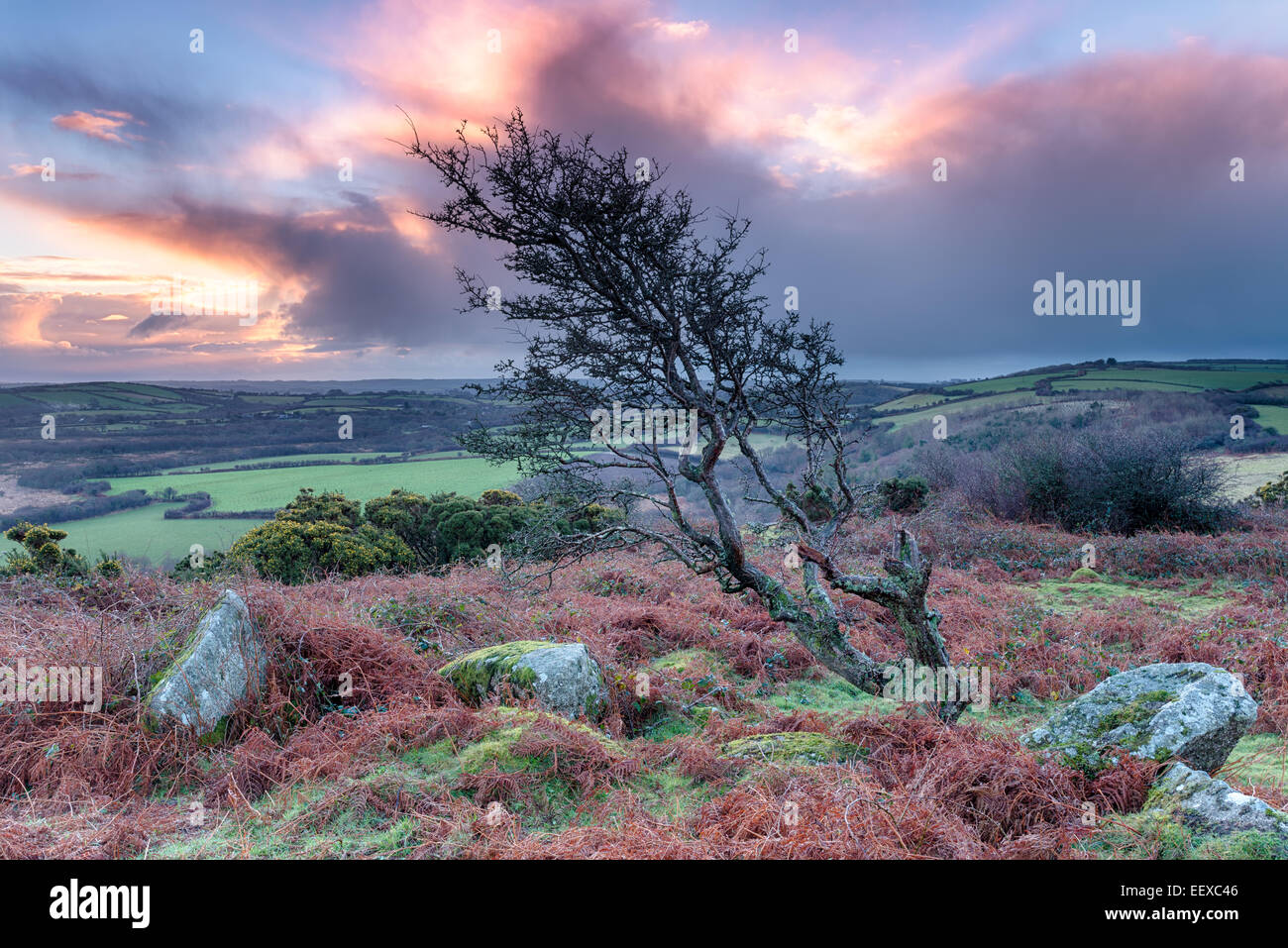 Windswept Moors High Resolution Stock Photography and Images - Alamy