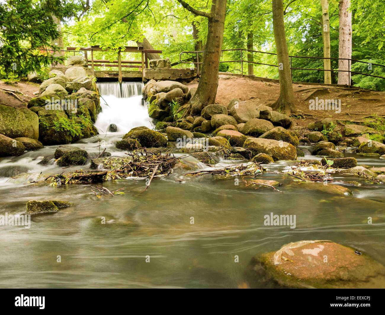 beautiful waterfall in woods green forest, stream in oliva park gdansk ...