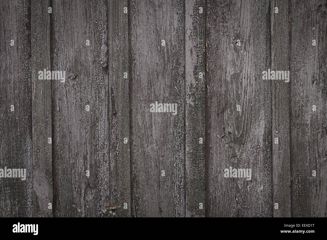 Best texture hi-res stock photography and images - Alamy