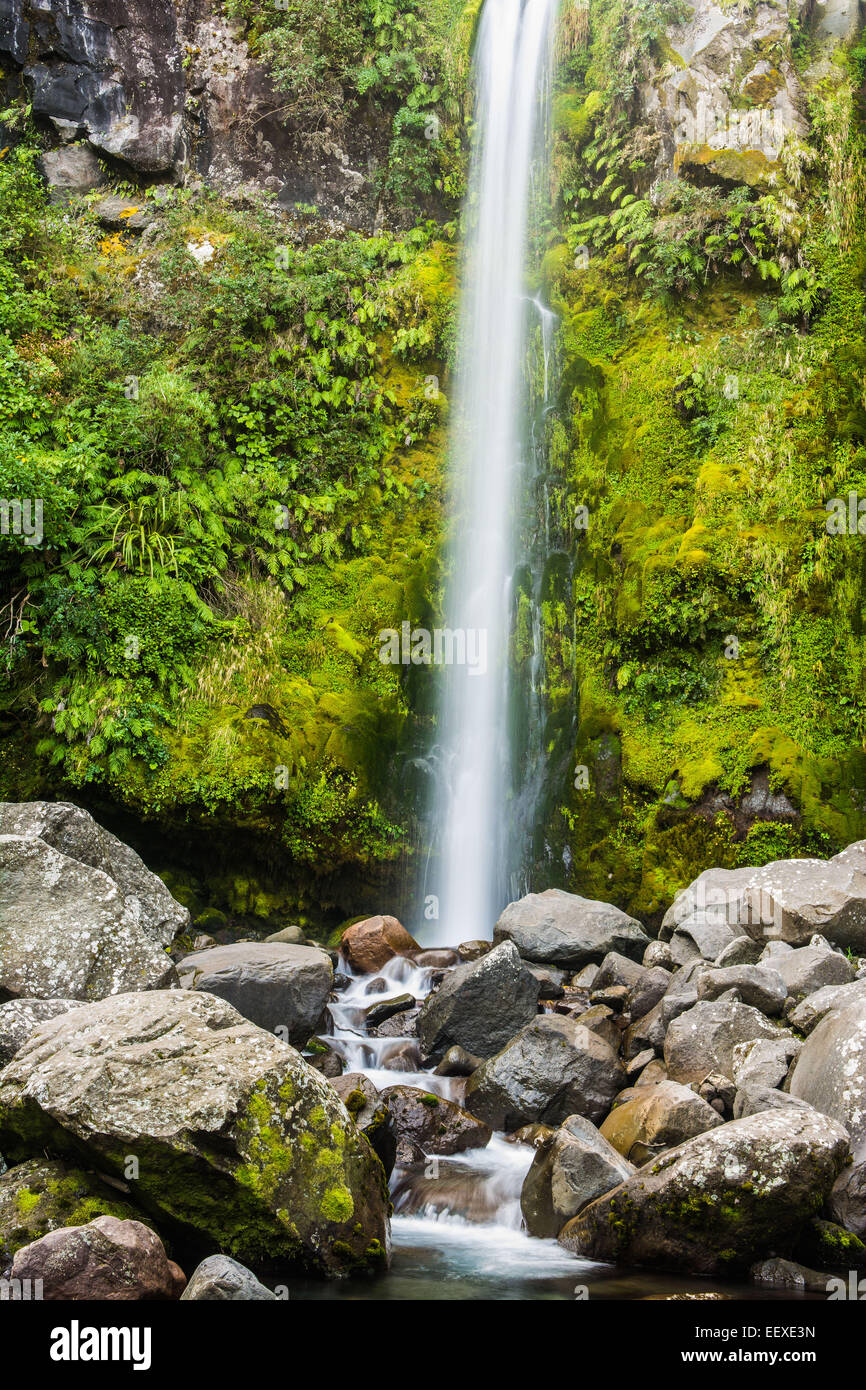Egmont national park new zealand hi-res stock photography and images ...