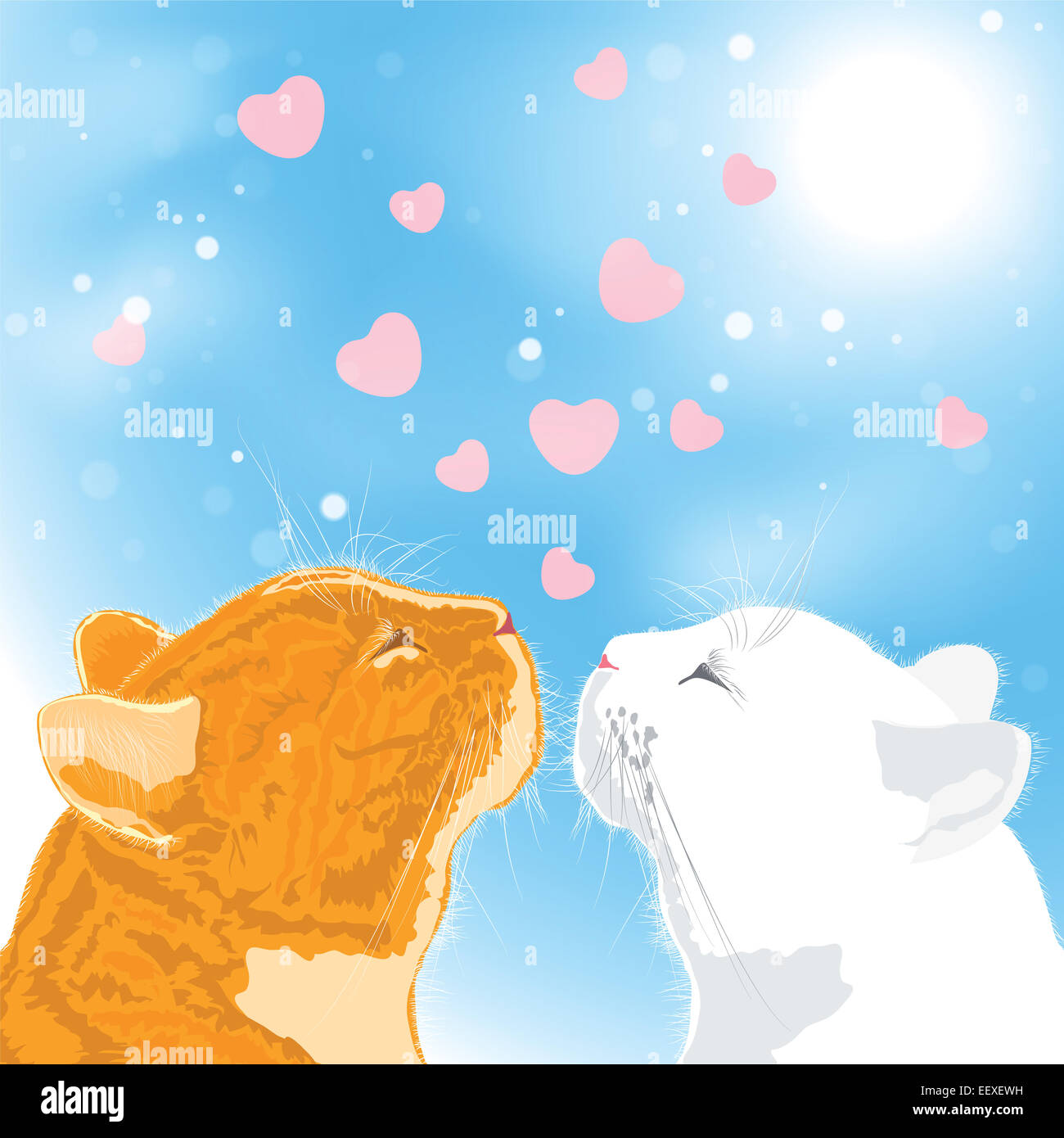 Two beloved cats on sky background Stock Photo - Alamy