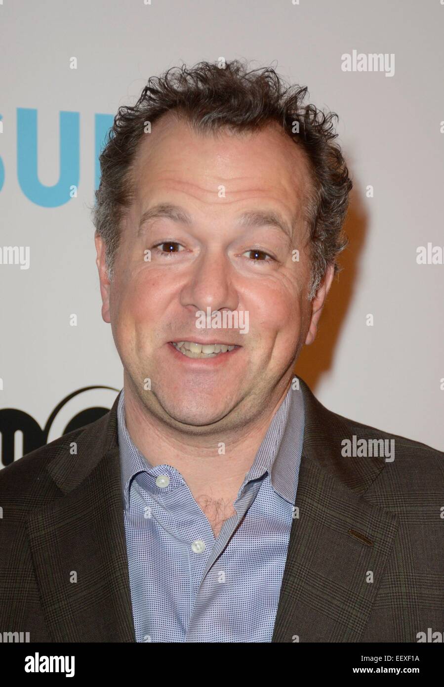 New York, NY, USA. 22nd Jan, 2015. David Costabile at arrivals for USA ...